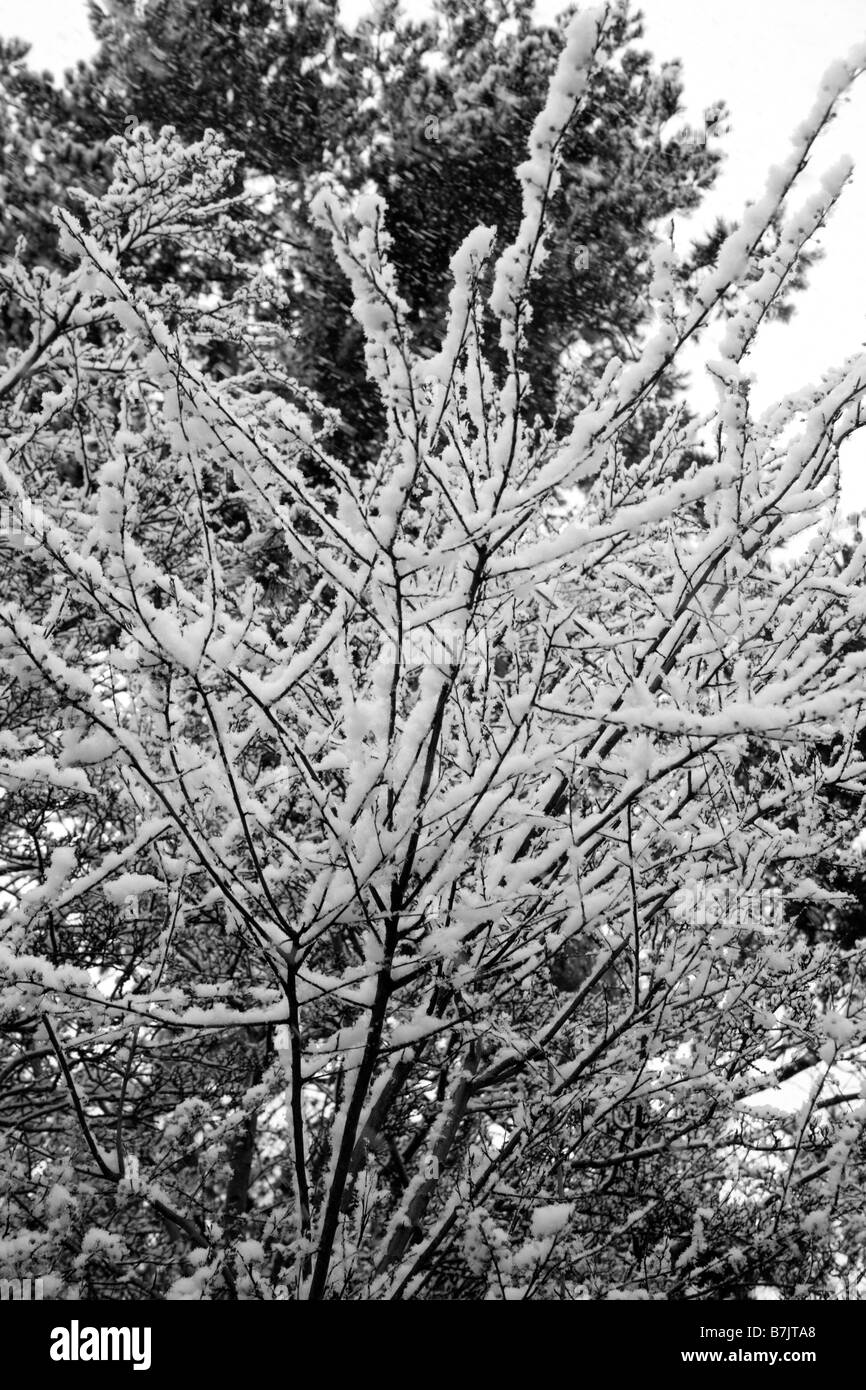 Bright scenes Black and White Stock Photos & Images - Alamy