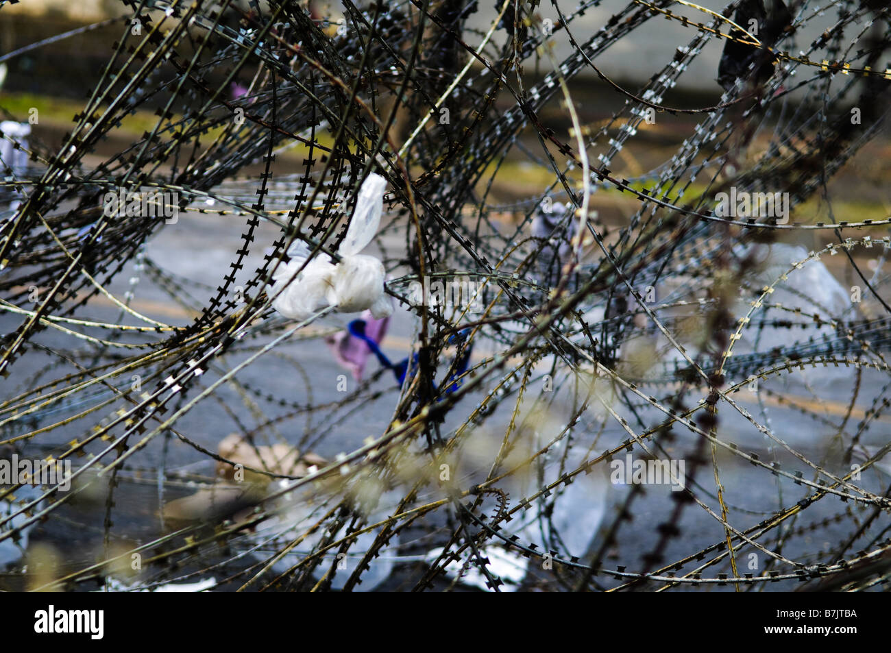 Razor wire barricades in Bangkok Thailand 2008 Stock Photo - Alamy