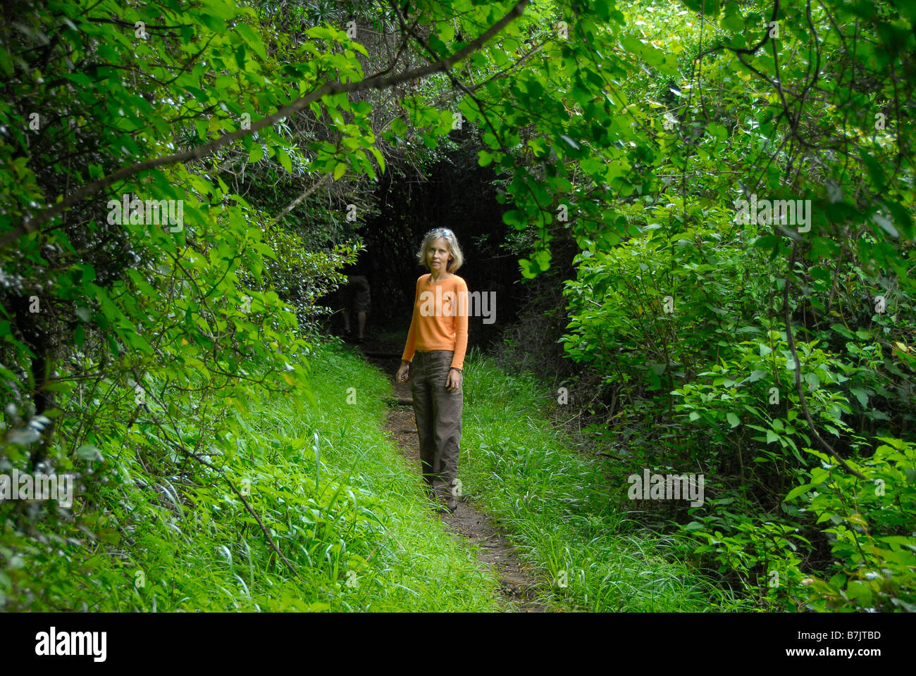 Stutterheim hi-res stock photography and images - Alamy