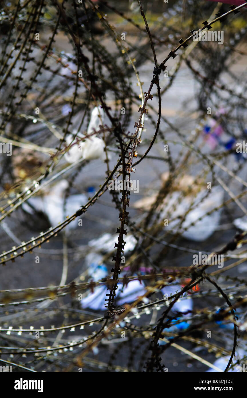 Razor wire barricades in Bangkok Thailand 2008 Stock Photo - Alamy