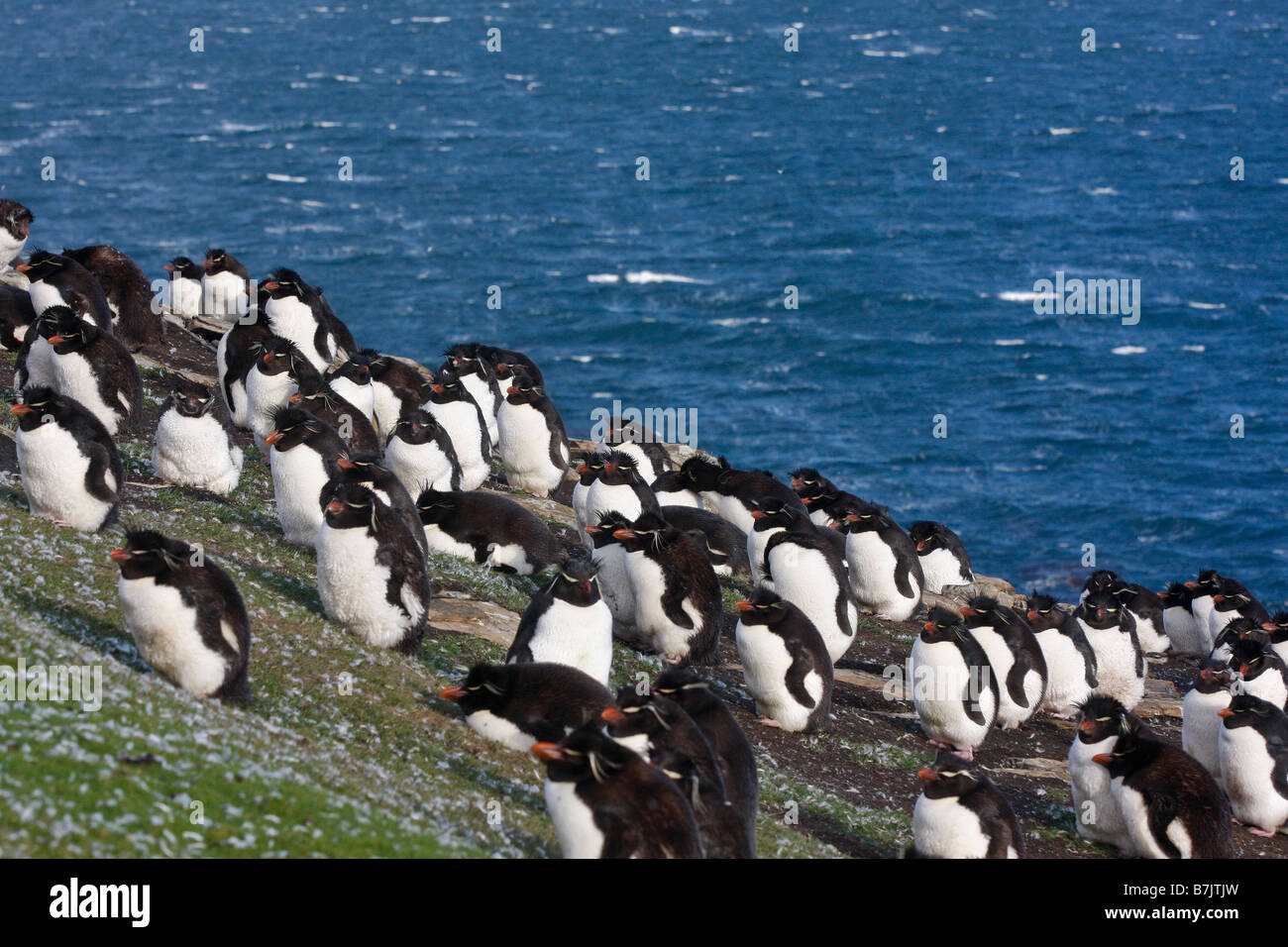 Falkland waterfall hi-res stock photography and images - Alamy