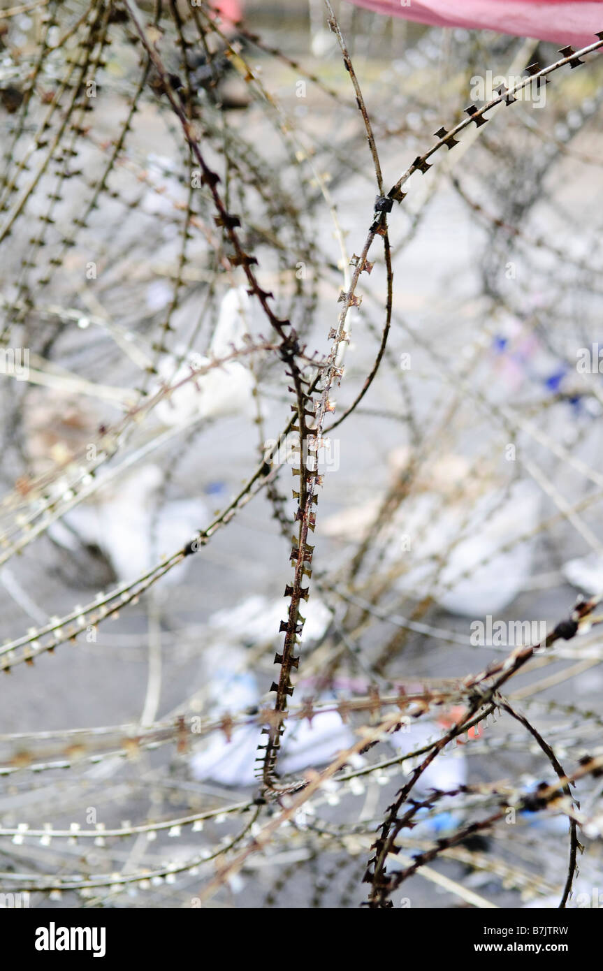 Razor wire barricades in Bangkok Thailand 2008 Stock Photo - Alamy