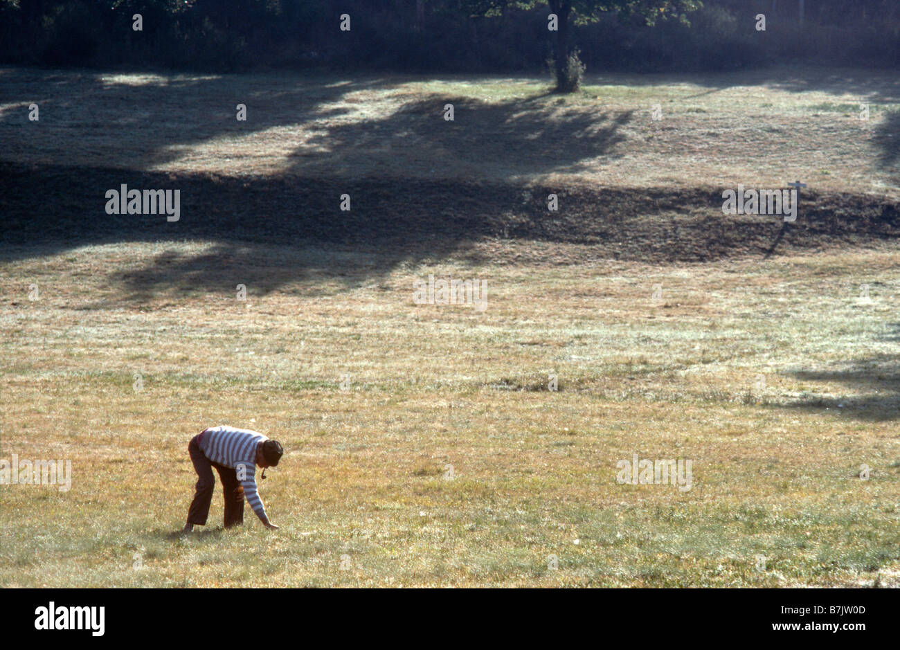 Collecting snails near the village of Issarles on the border of the ...