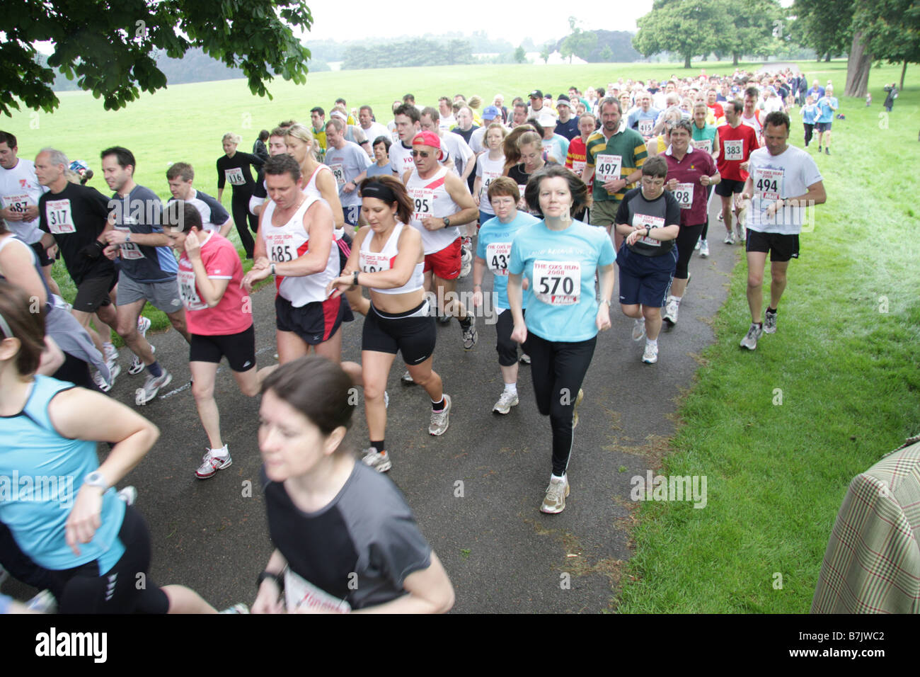 Ox5 hi-res stock photography and images - Alamy