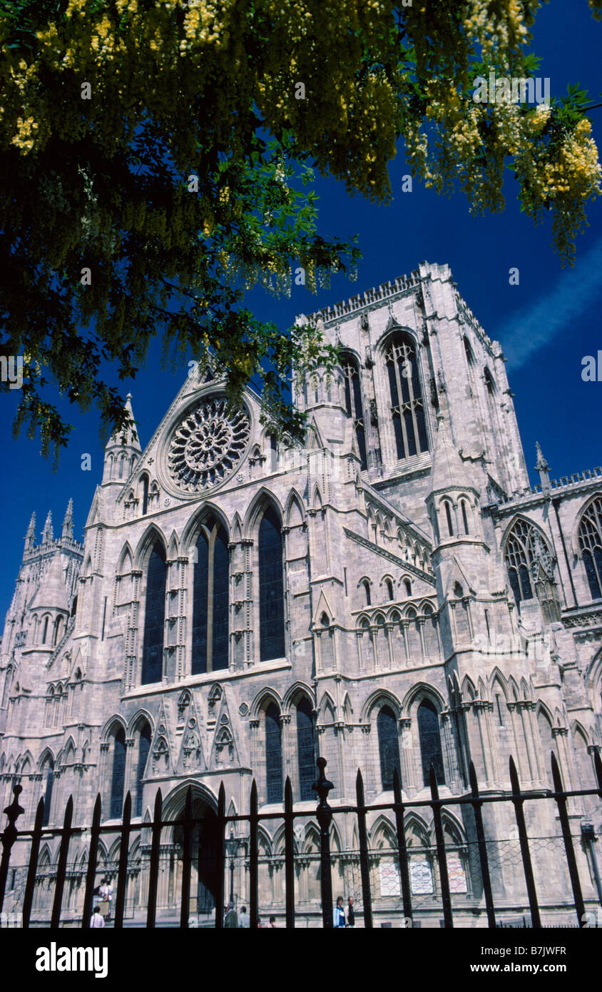 York Minster Cathedral church Facade Rose window Tower View from under ...