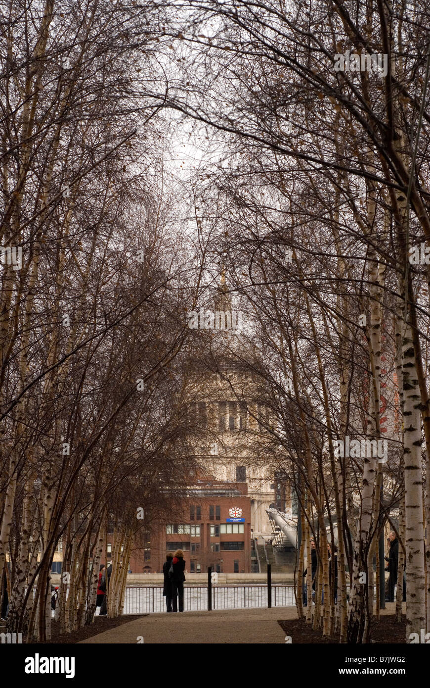St Paul's Cathedral through birch trees from Tate Gallery Stock Photo ...