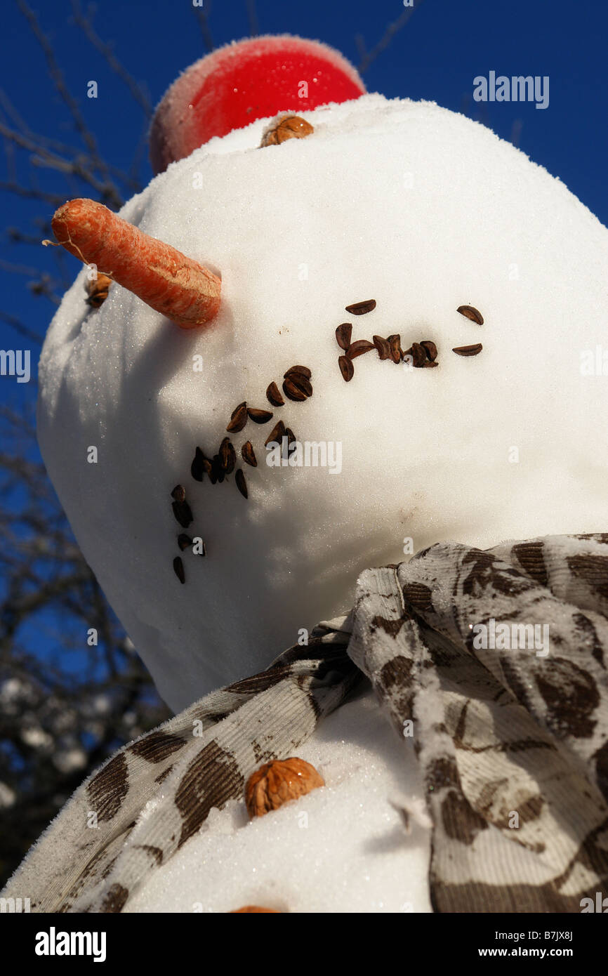 snowman in a winter scene Stock Photo - Alamy