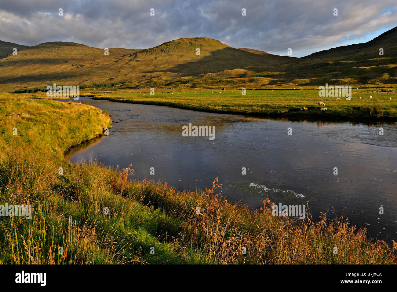 The River Lyon and surrounding fields and hills in warm evening light ...