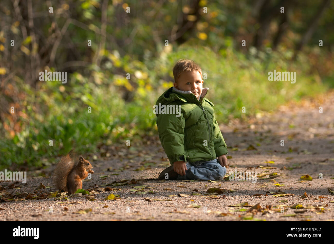 Caucasian squirrel hi-res stock photography and images - Alamy
