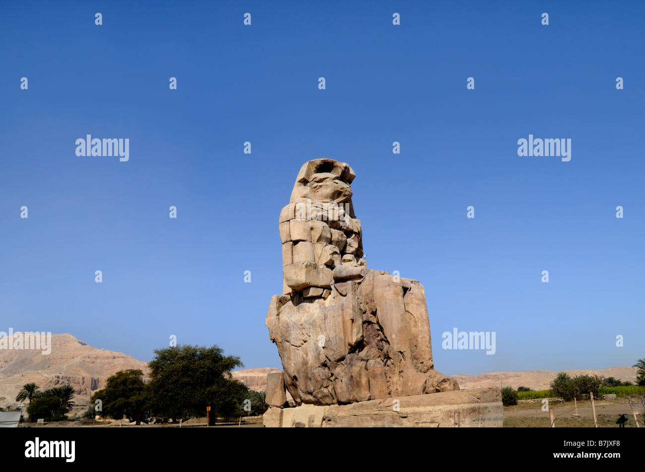 The Colossus of Memnon in Egypt Stock Photo - Alamy