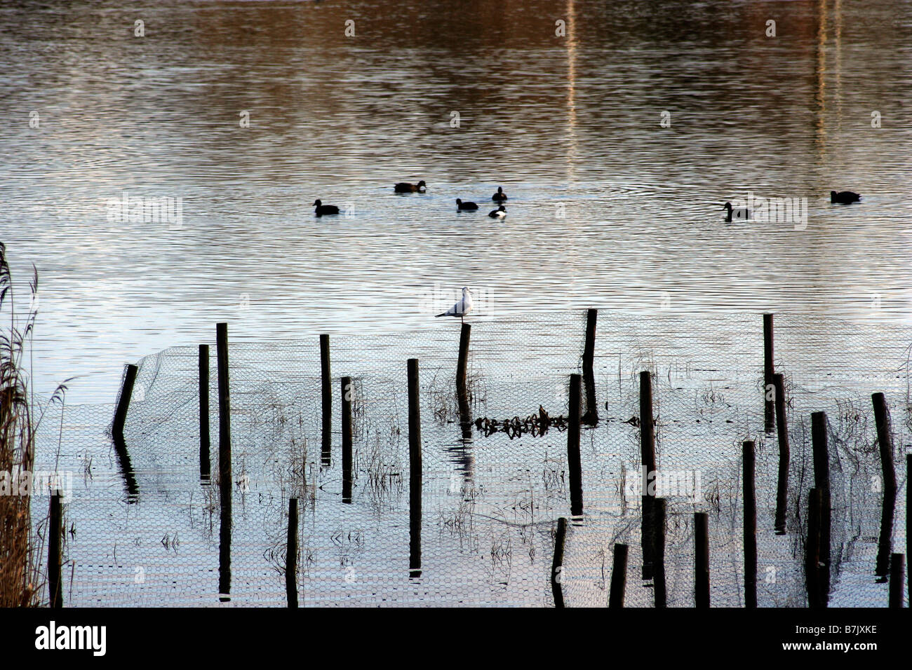 Quarry nature hi-res stock photography and images - Alamy