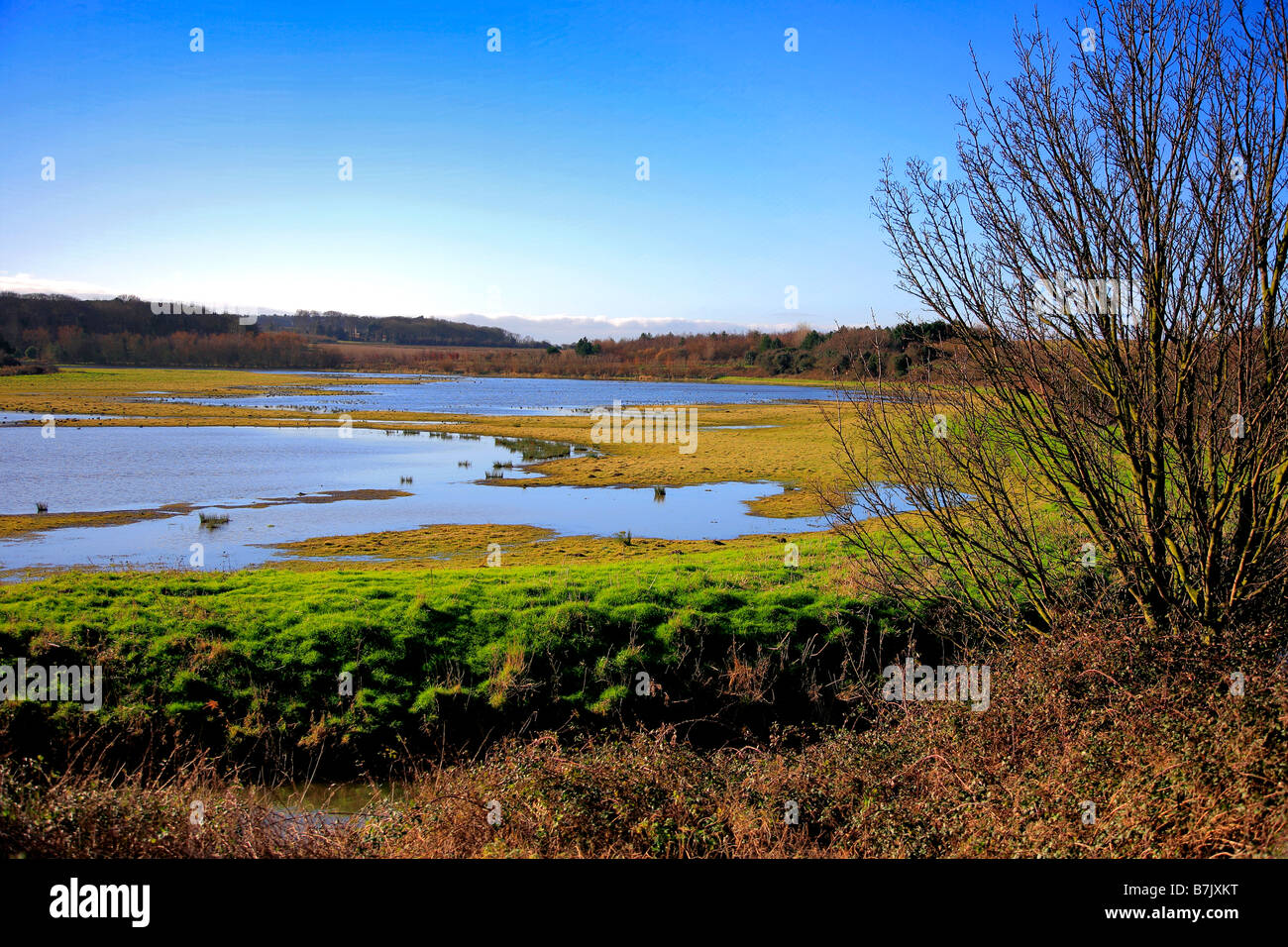 Stiffkey marshes hi-res stock photography and images - Alamy