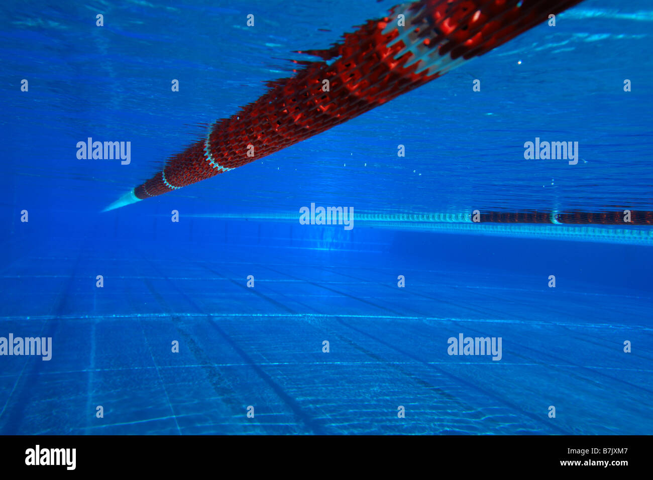 underwater view from a swimming pool Stock Photo - Alamy