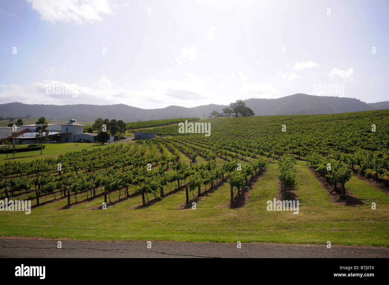 Hunter valley australia hi-res stock photography and images - Alamy
