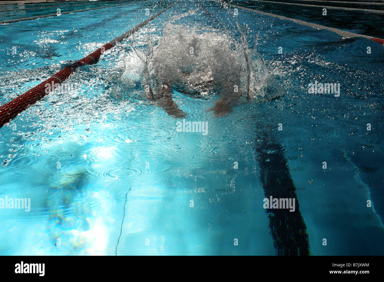 Swimmer in a swimming pool Stock Photo - Alamy