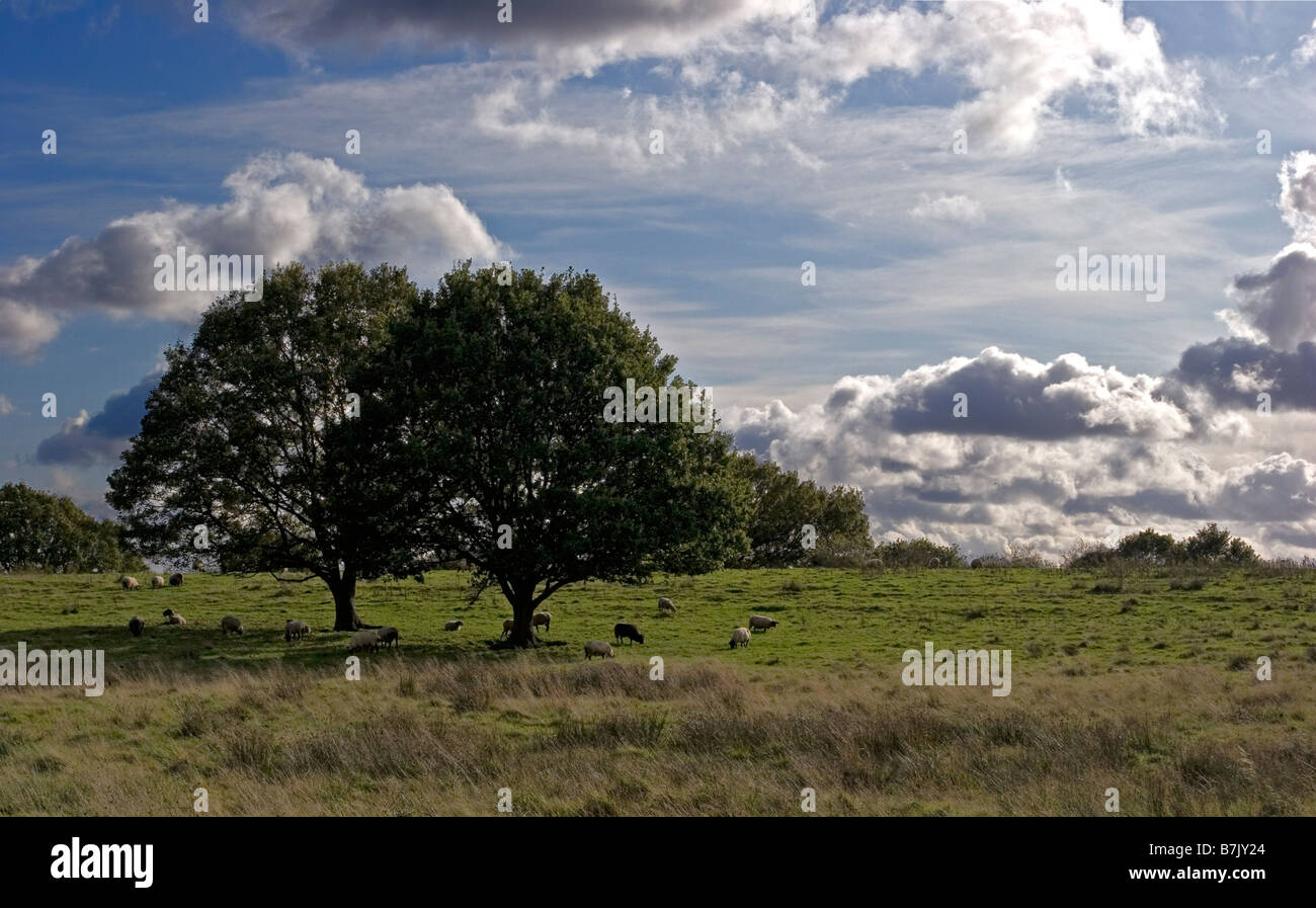 Classic English countryside scene Stock Photo - Alamy
