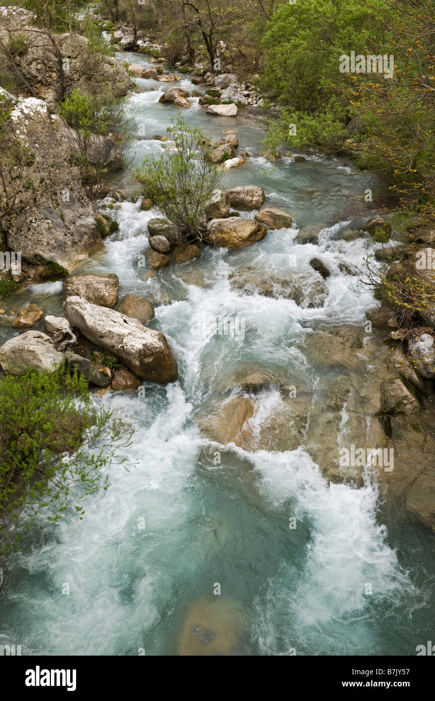The Lousios river in springtime in the base of the Lousios gorge. Near ...