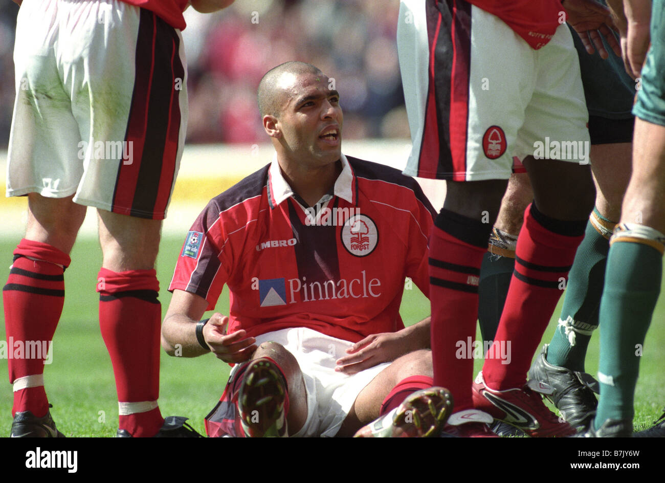 Van hooijdonk forest hi-res stock photography and images - Alamy