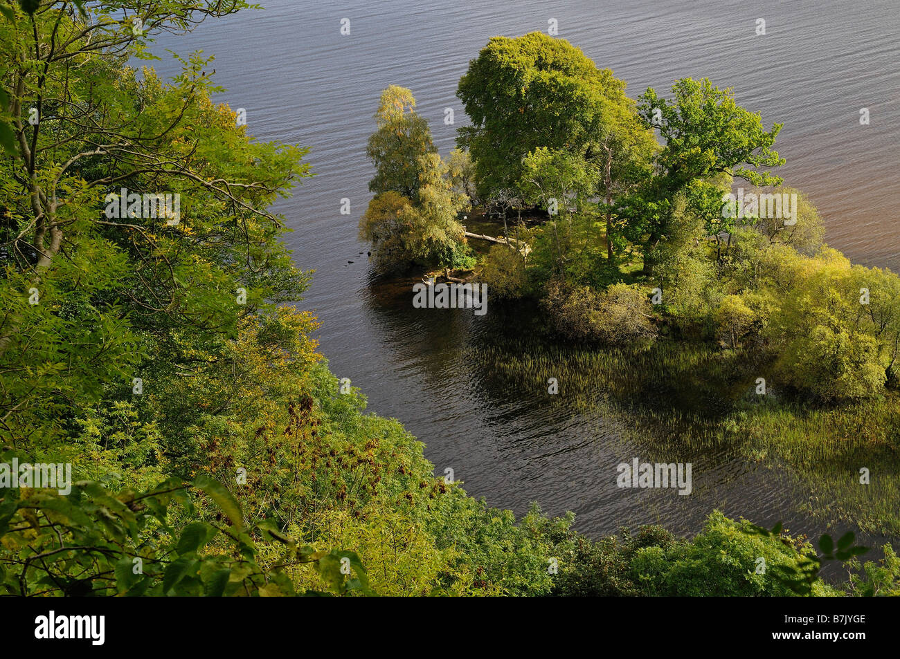 Island Loch Tay High Resolution Stock Photography and Images - Alamy