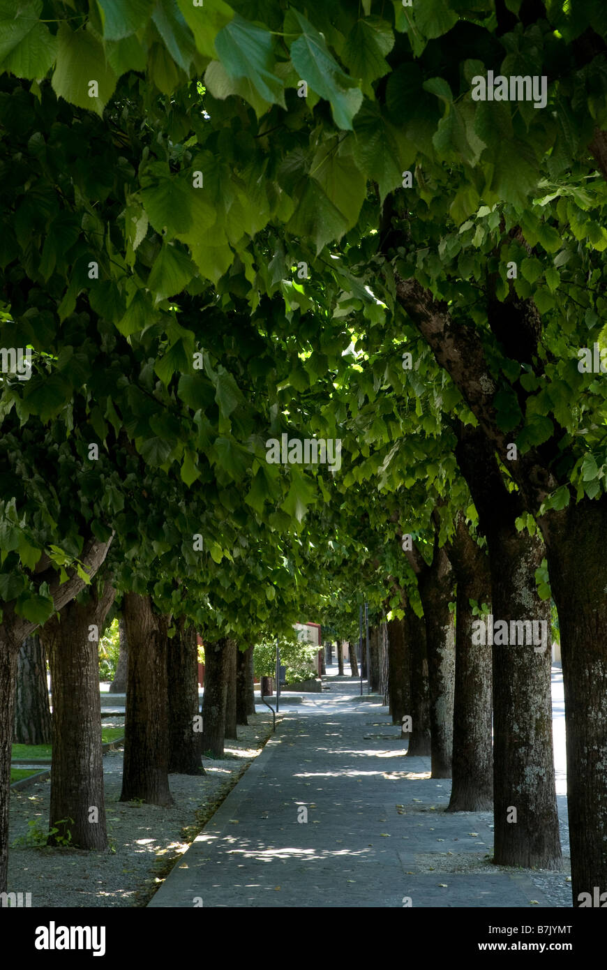 Acquasparta italy hi-res stock photography and images - Alamy