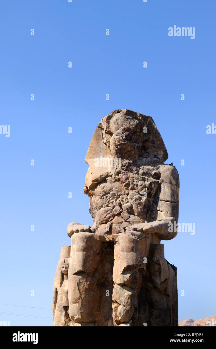 The Colossus of Memnon in Egypt Stock Photo - Alamy