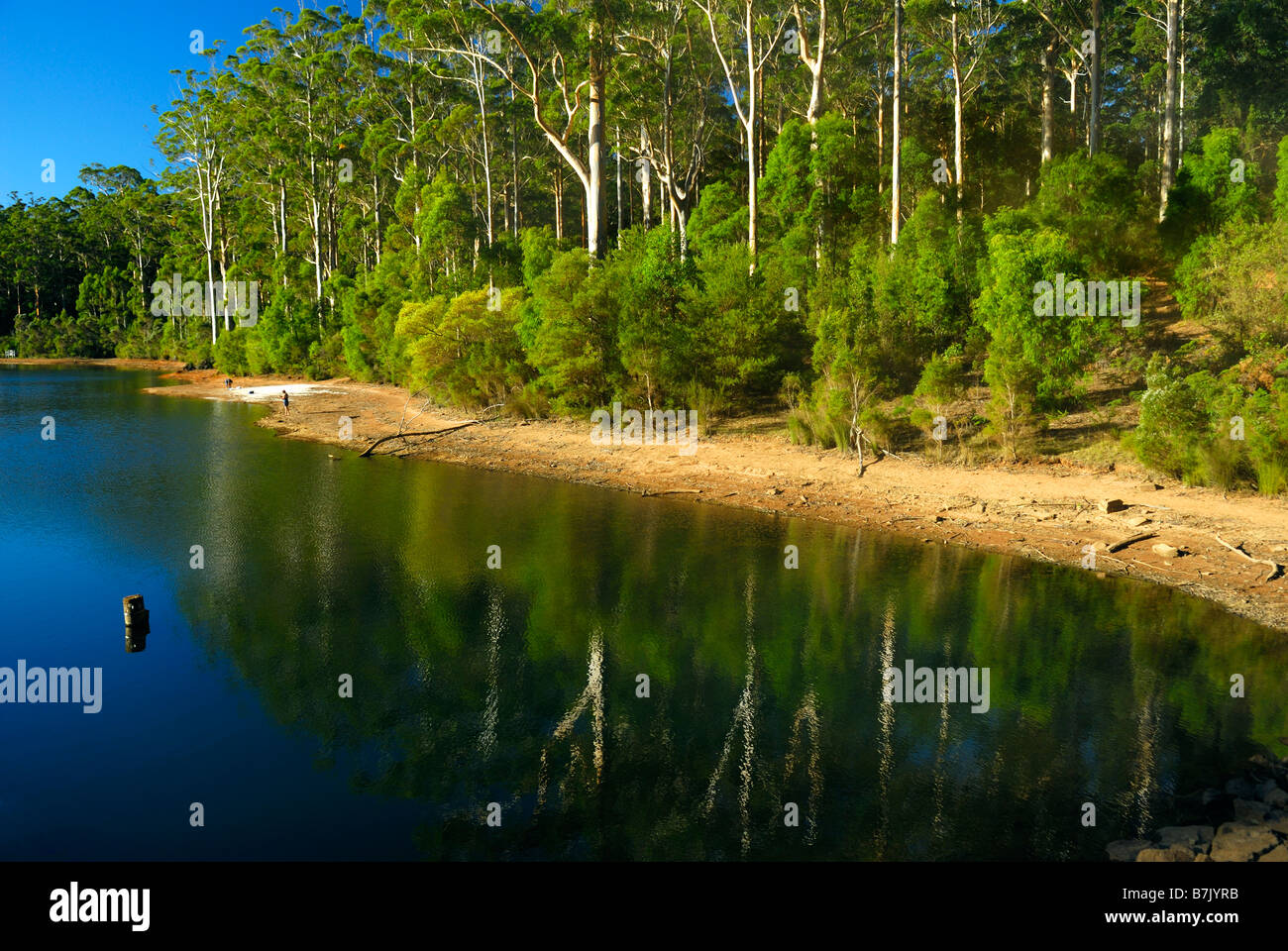 Pemberton western australia hi-res stock photography and images - Alamy