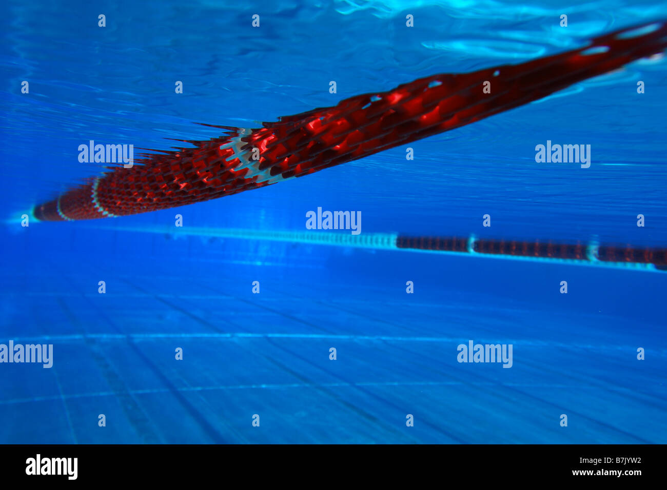 underwater view from a swimming pool Stock Photo - Alamy
