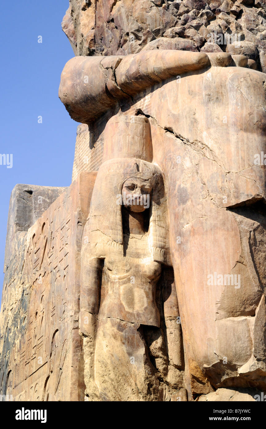 The Colossus of Memnon in Egypt with small statue of Queen Tiy Stock ...