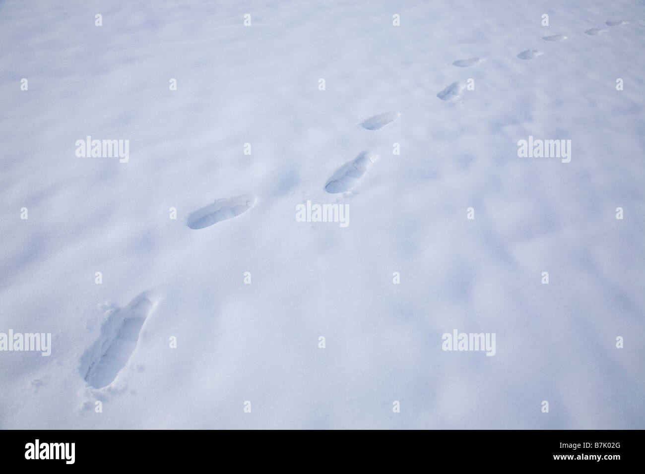 Foot prints on snow Stock Photo - Alamy