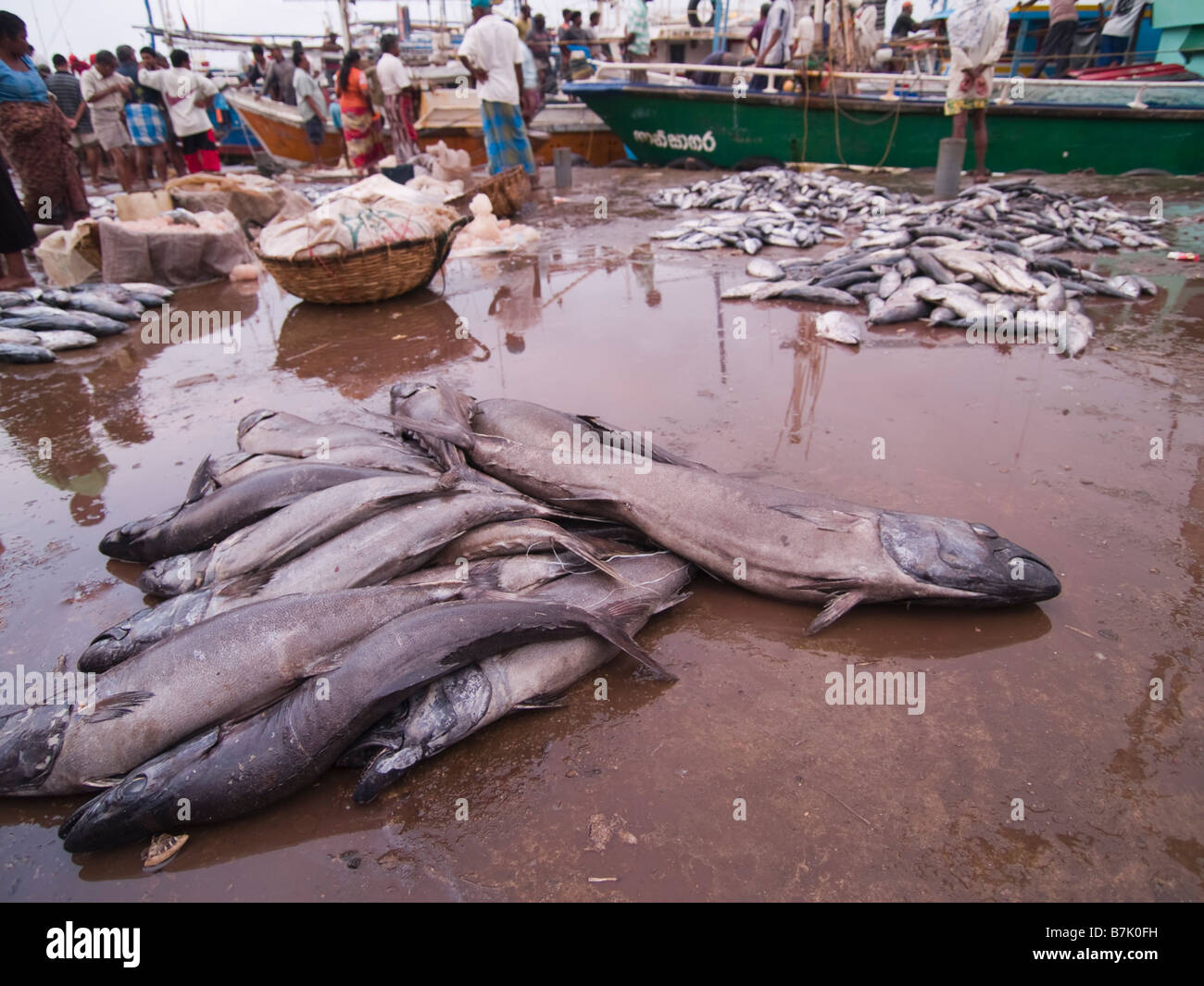 Outdoor fish market Stock Photo - Alamy