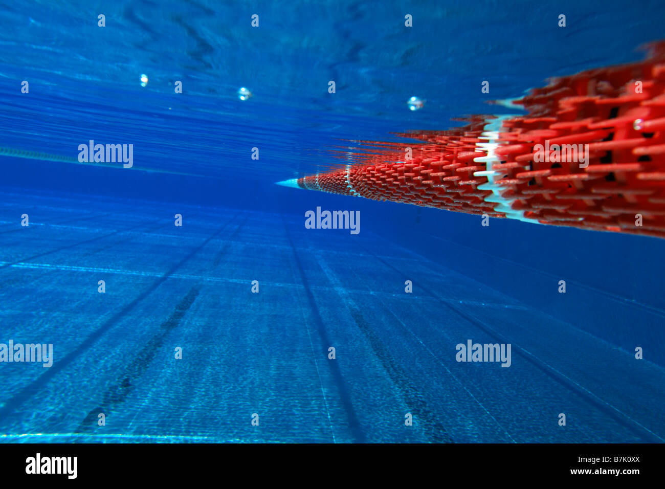 underwater view from a swimming pool Stock Photo - Alamy