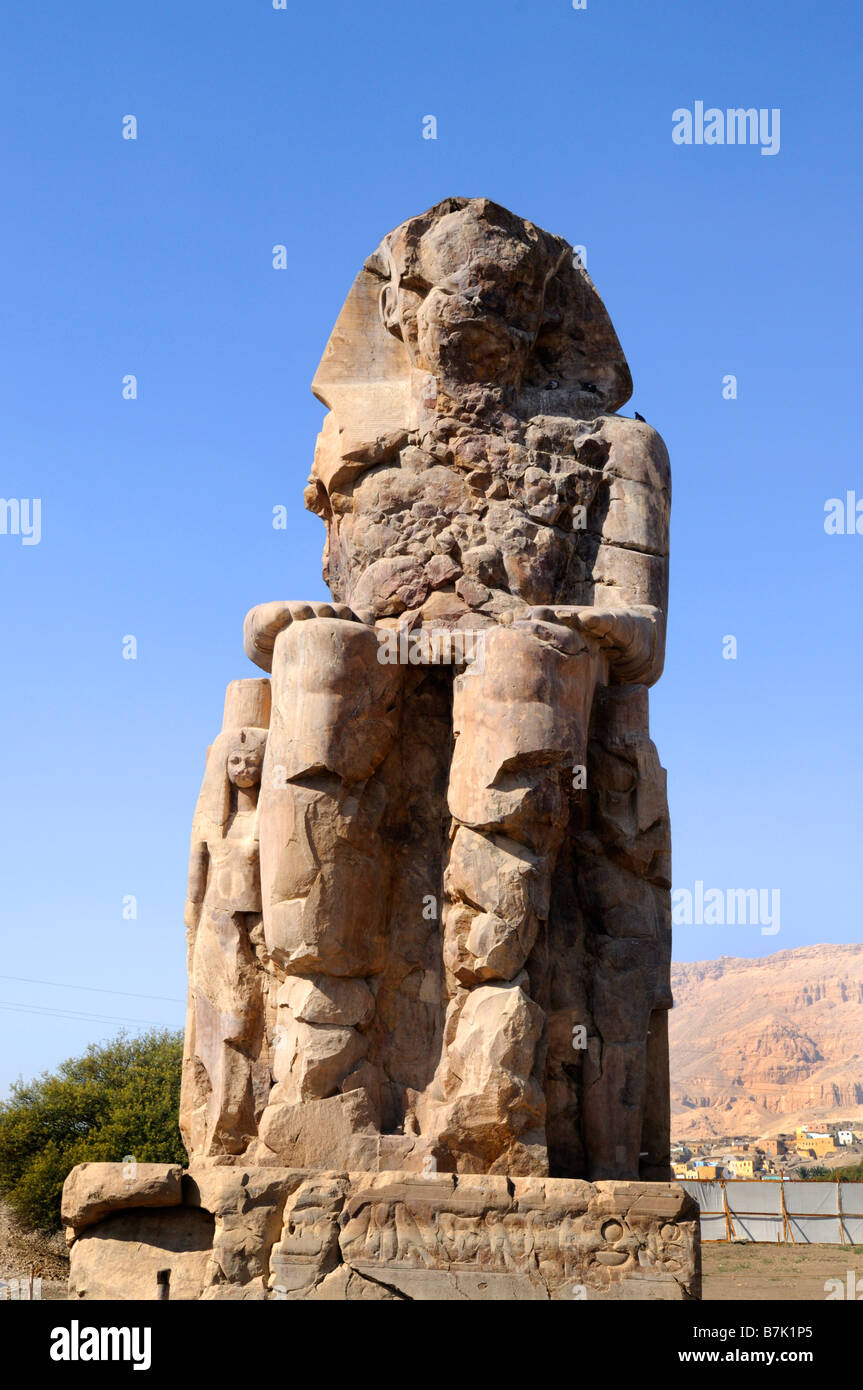 The Colossus of Memnon in Egypt Stock Photo - Alamy