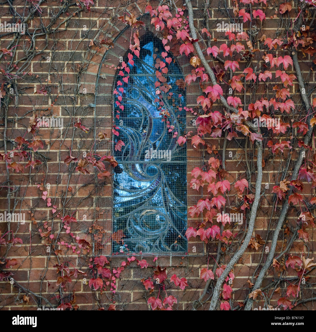 excellent image of an old church window with red ivy Stock Photo - Alamy