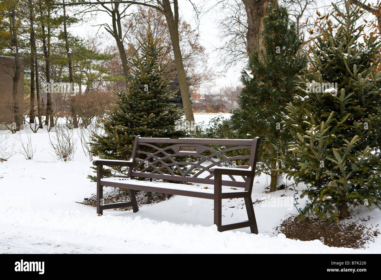 A lone bench Stock Photo - Alamy
