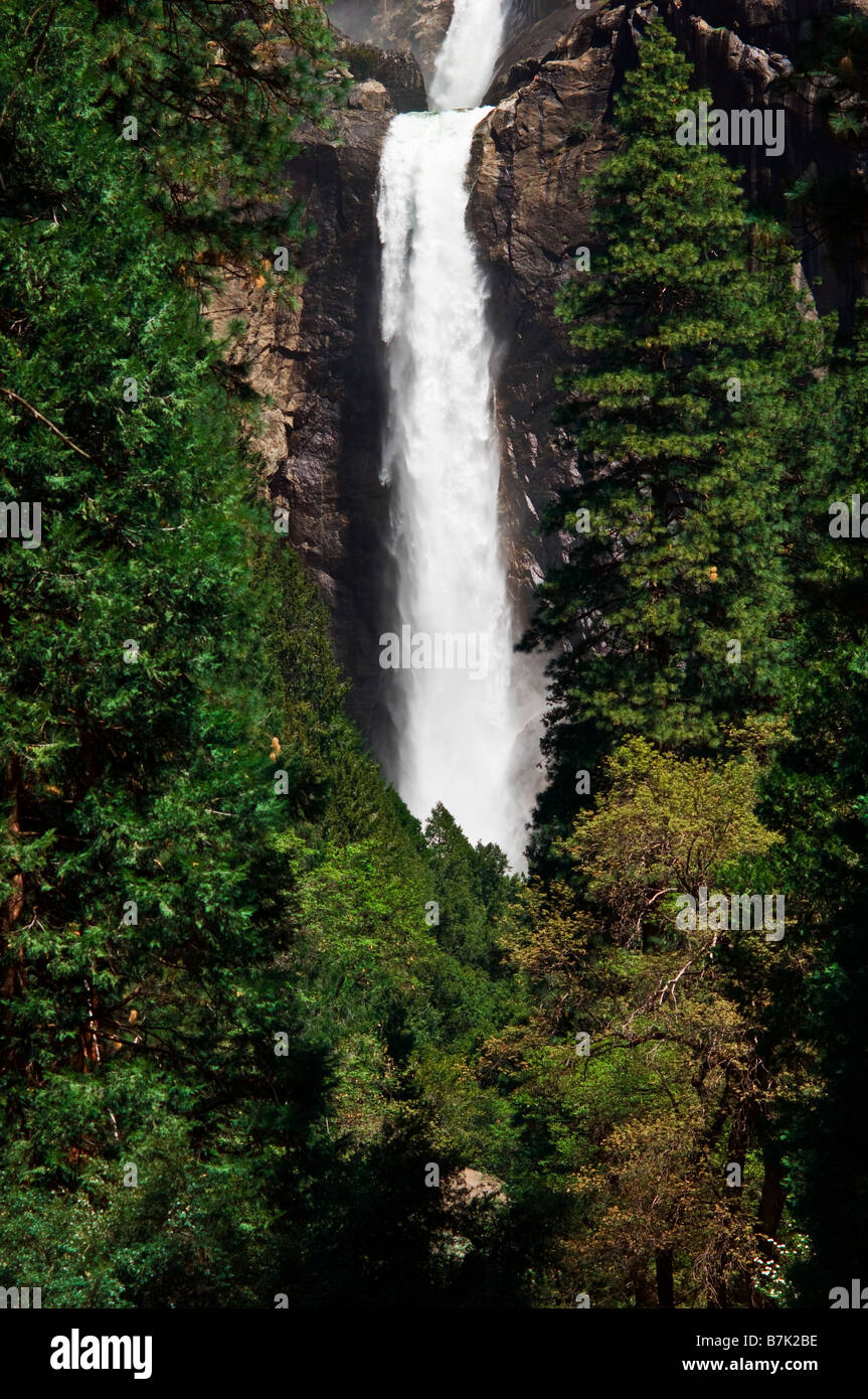 base of yosemite falls, yosemite national forest, california, usa Stock ...