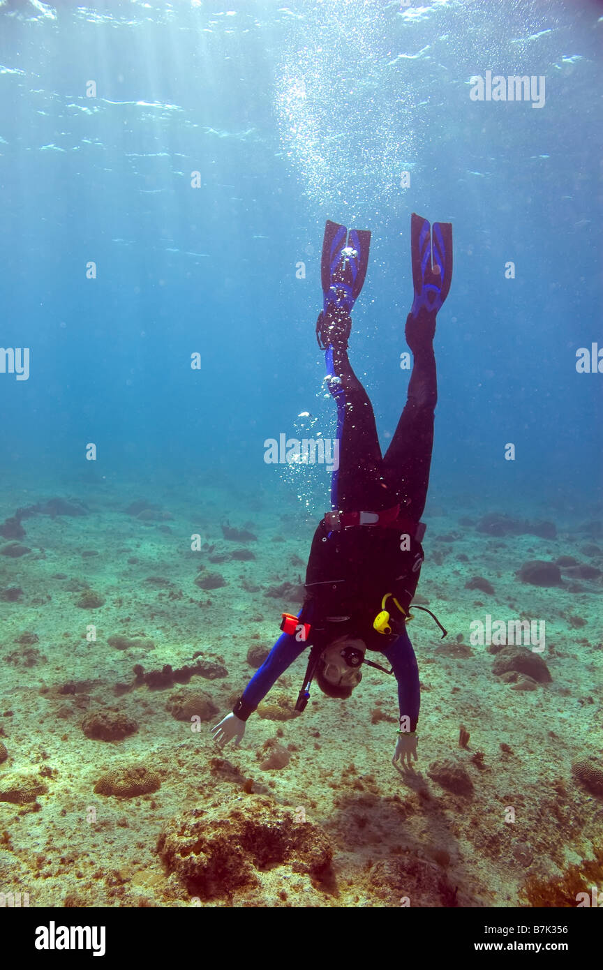 Handstand diving hi-res stock photography and images - Alamy