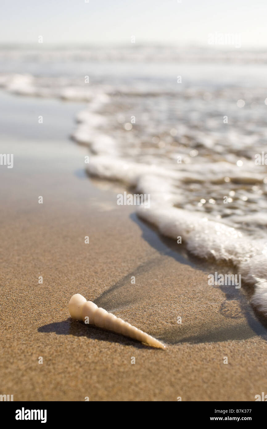 Turret shells hi-res stock photography and images - Alamy