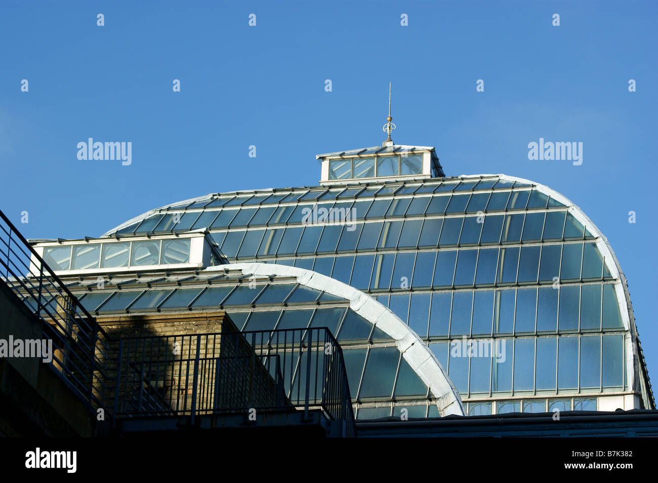 Victorian glass dome hi-res stock photography and images - Alamy