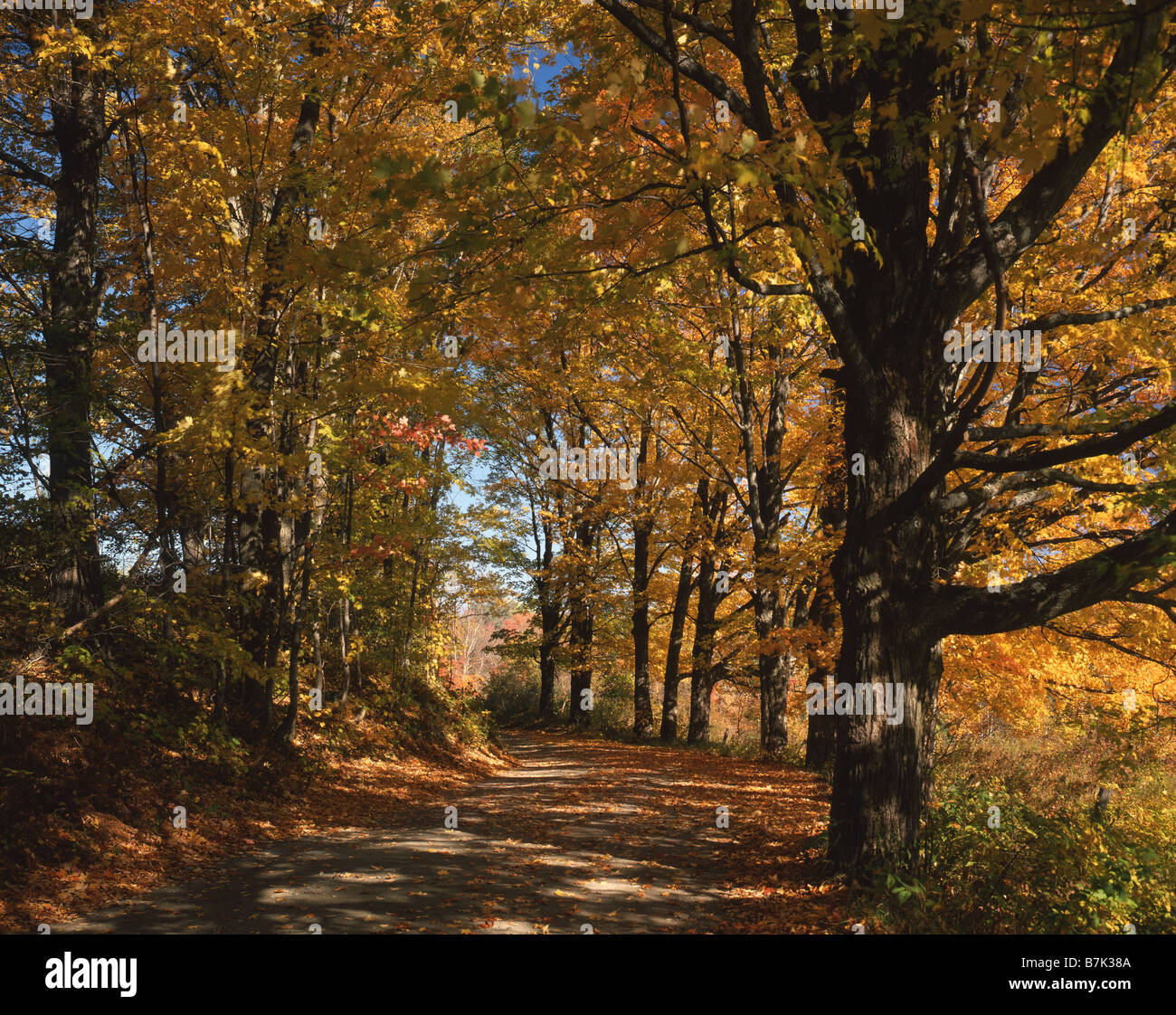 Fall foliage and country lane hi-res stock photography and images - Alamy