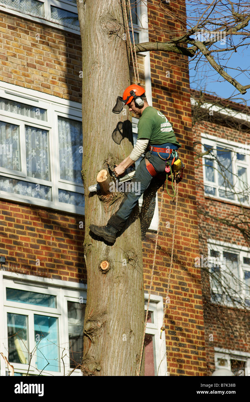 Prune men hi-res stock photography and images - Alamy