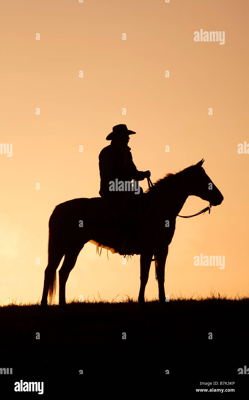 Horse Riding Rider High Resolution Stock Photography and Images - Alamy