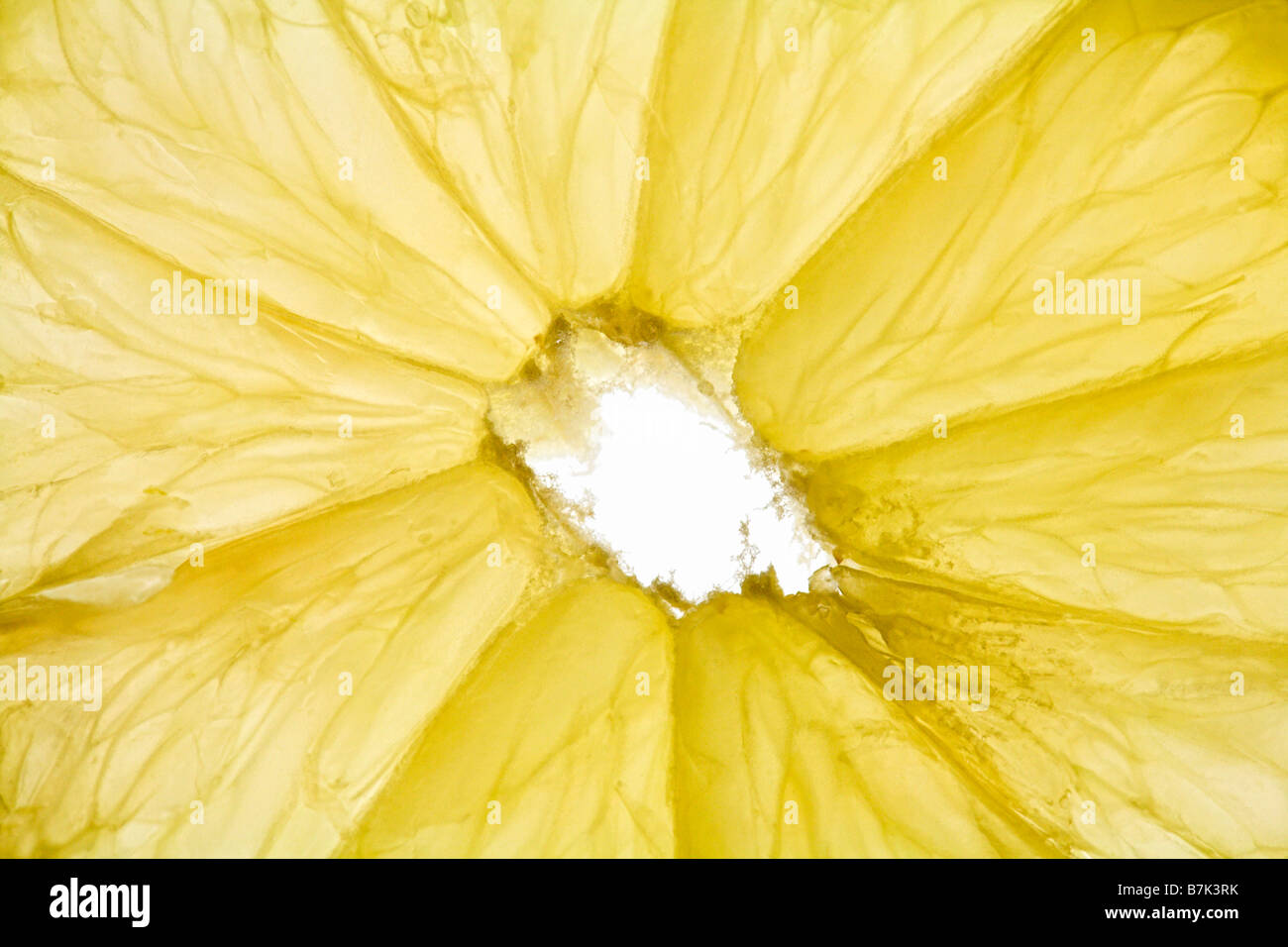 Cross sectional details hi-res stock photography and images - Alamy