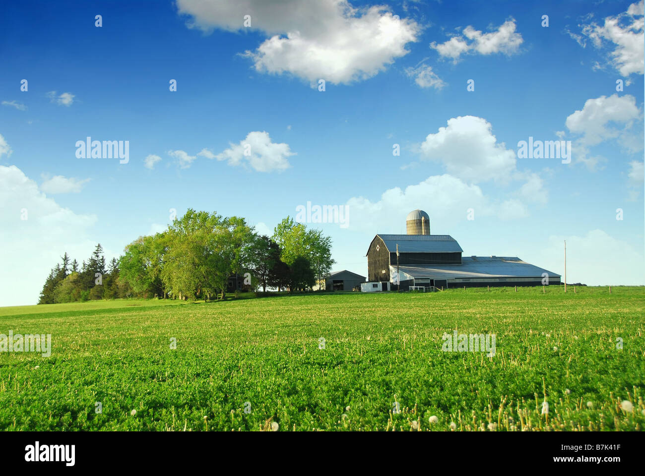 Farmhouse and barn among green fields Stock Photo - Alamy