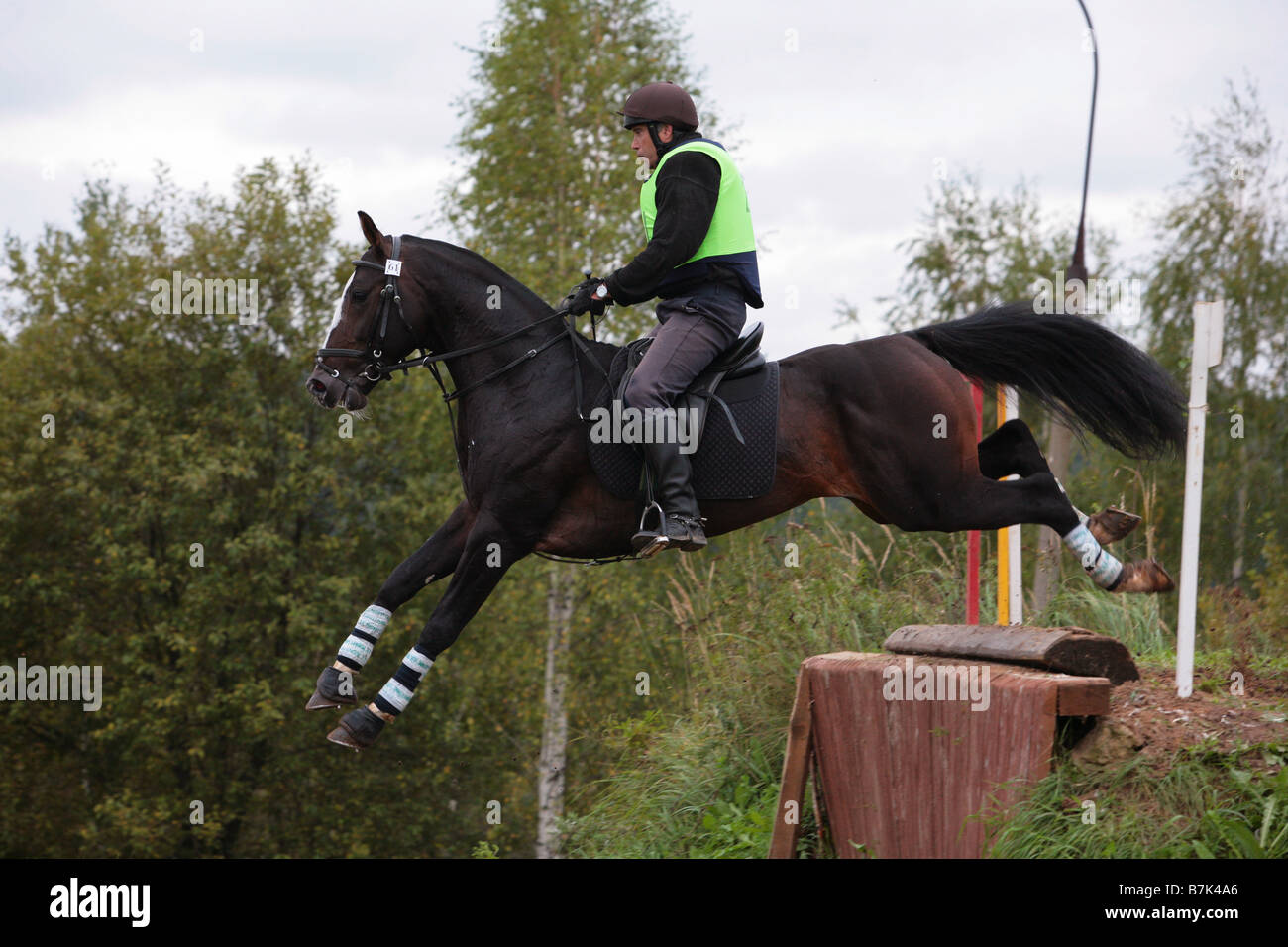 Rider wearing a riding hat and a body protector jumping on horseback in ...