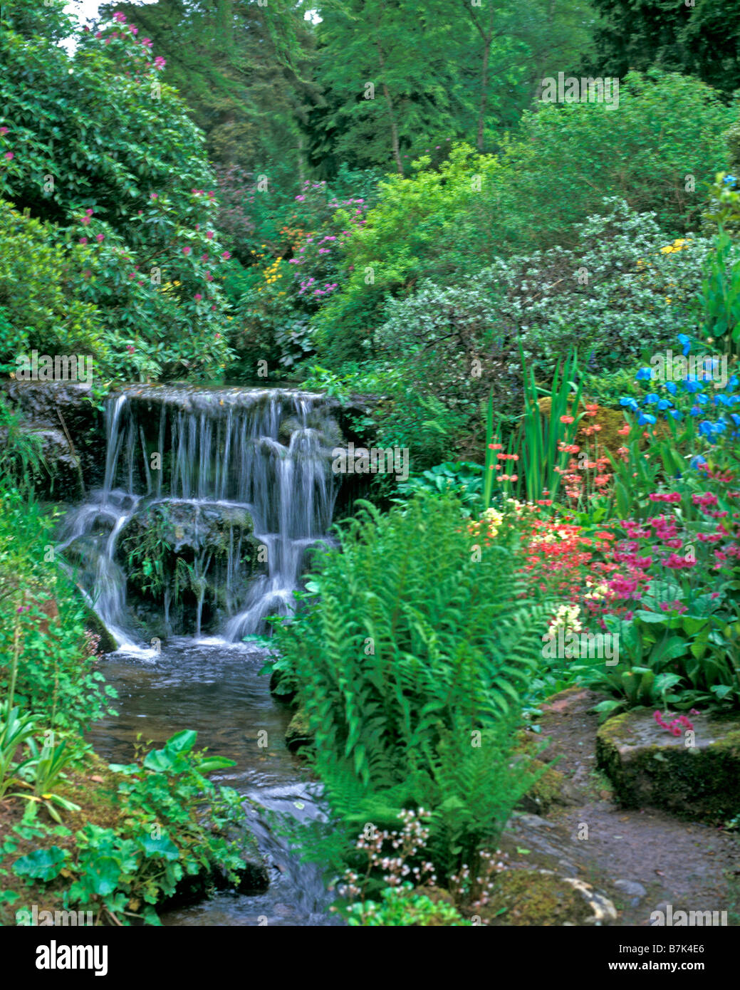 Poppies waterfall hi-res stock photography and images - Alamy
