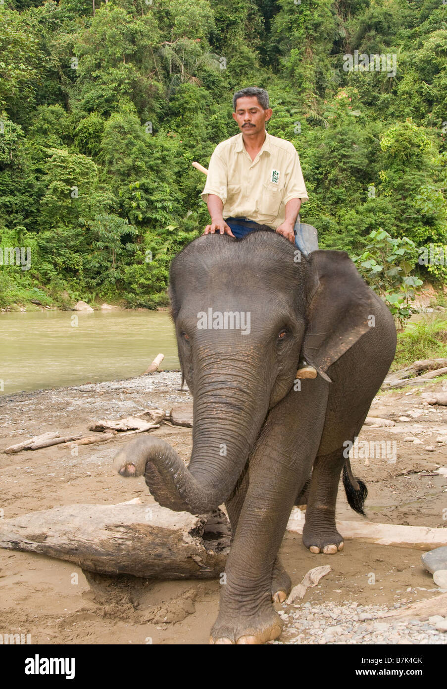 Mahout on elephant hi-res stock photography and images - Alamy