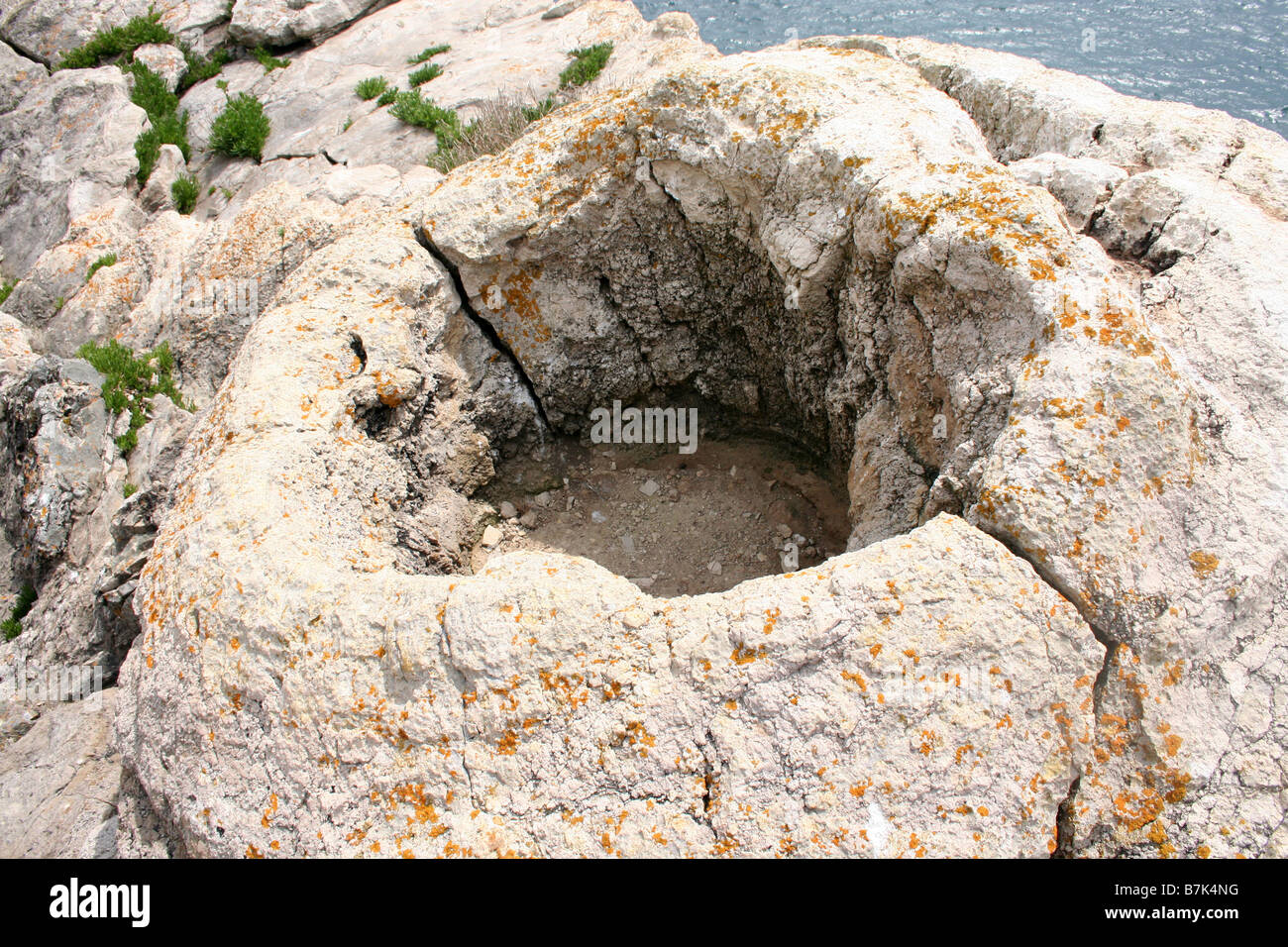 A Fossil Rock Formation on the Jurassic Coast in Dorset Stock Photo - Alamy