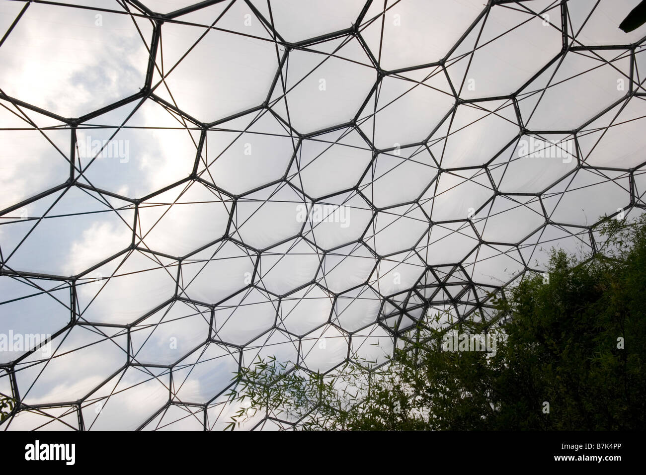 Eden trust hi-res stock photography and images - Alamy