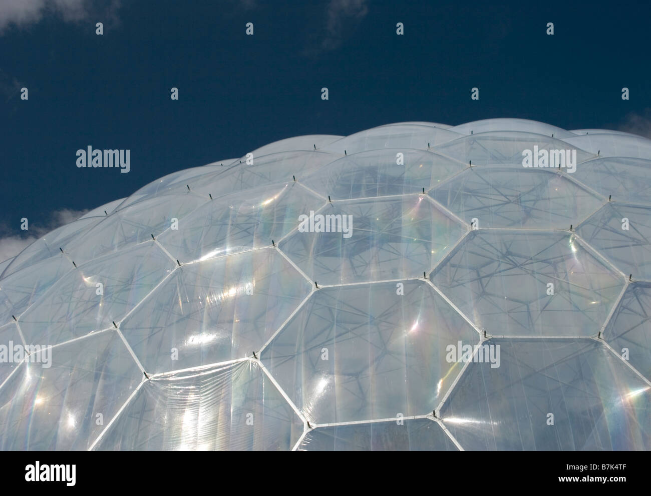 Eden project cornwall flowers sky hi-res stock photography and images ...