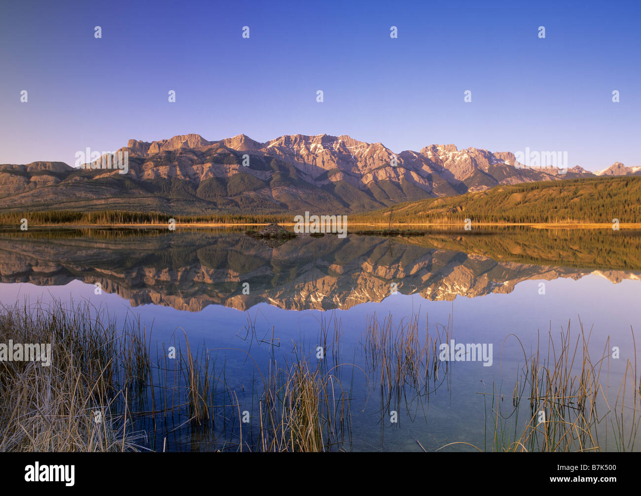 Miette Range Talbot Lake Jasper High Resolution Stock Photography and ...
